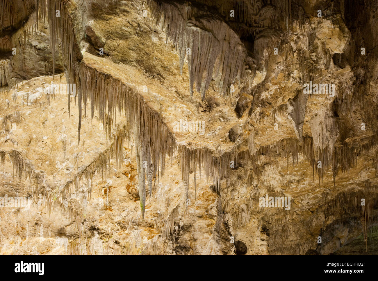 Carlsbad Caverns in New Mexico Stock Photo - Alamy