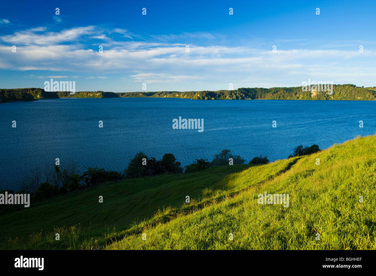 Rotoehu hi-res stock photography and images - Alamy