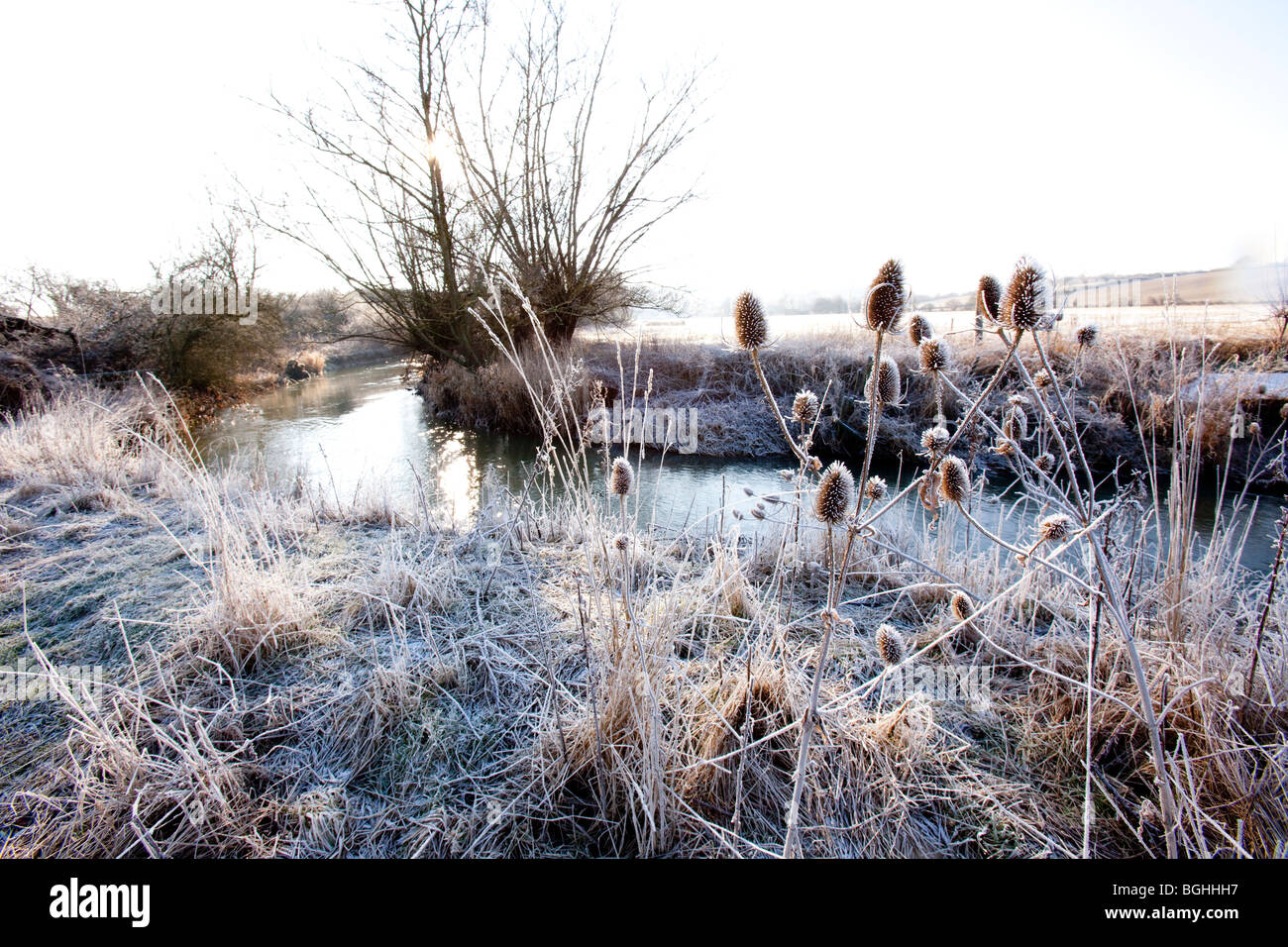 Stonesfield Common, and the River Evenlode, Oxfordshire Stock Photo - Alamy