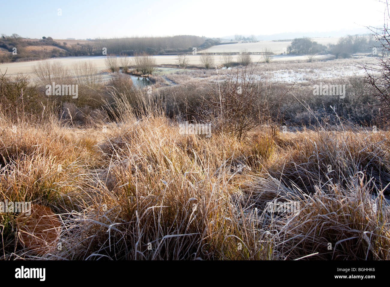 Stonesfield Common, and the River Evenlode, Oxfordshire Stock Photo - Alamy