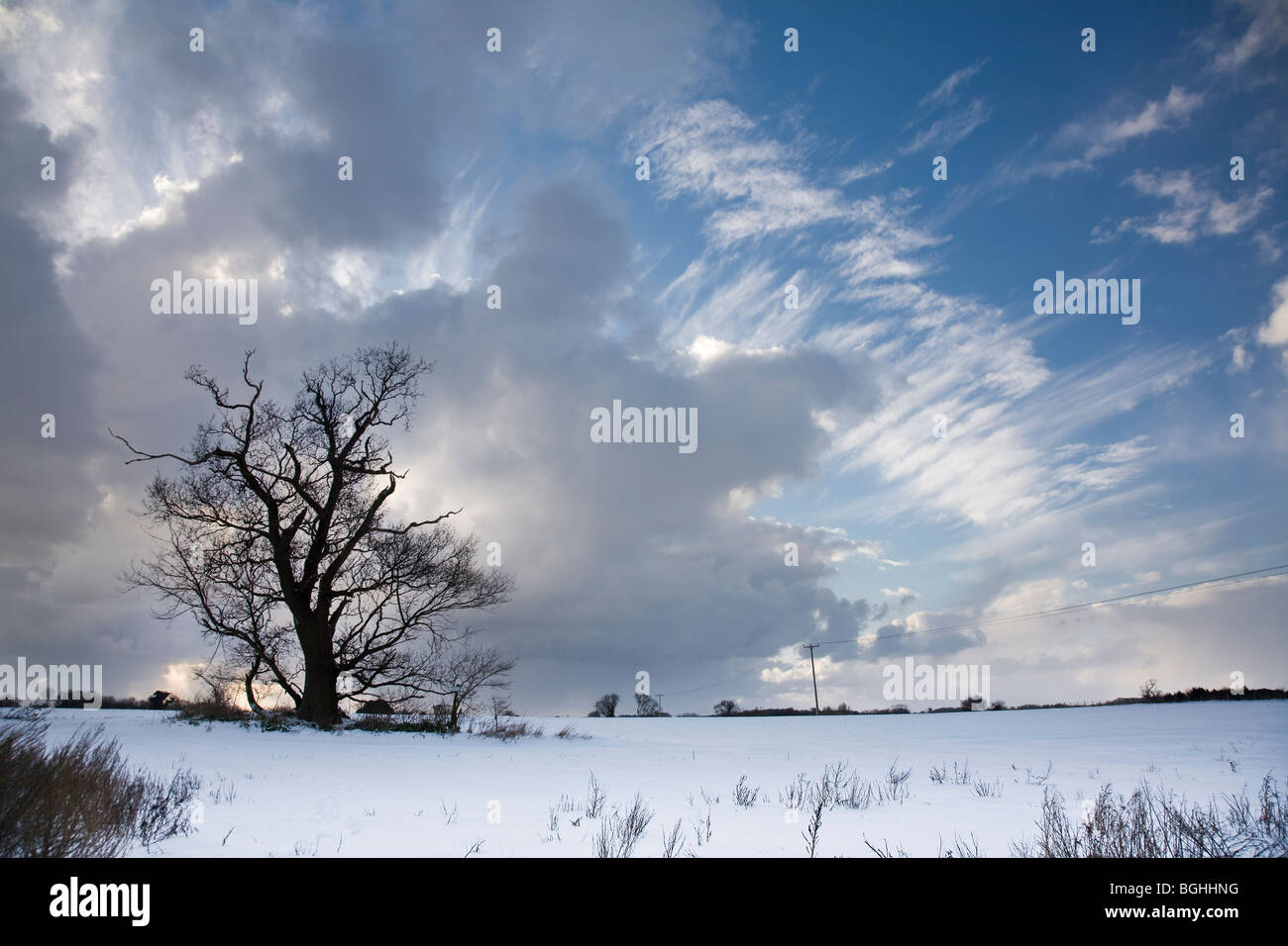 Suffolk in winter Stock Photo - Alamy