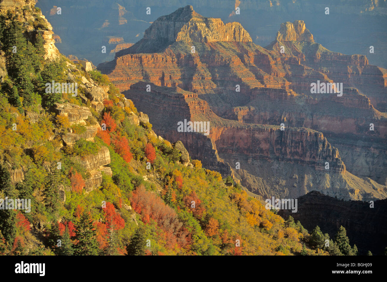 Grand canyon zoroaster temple hi-res stock photography and images - Alamy