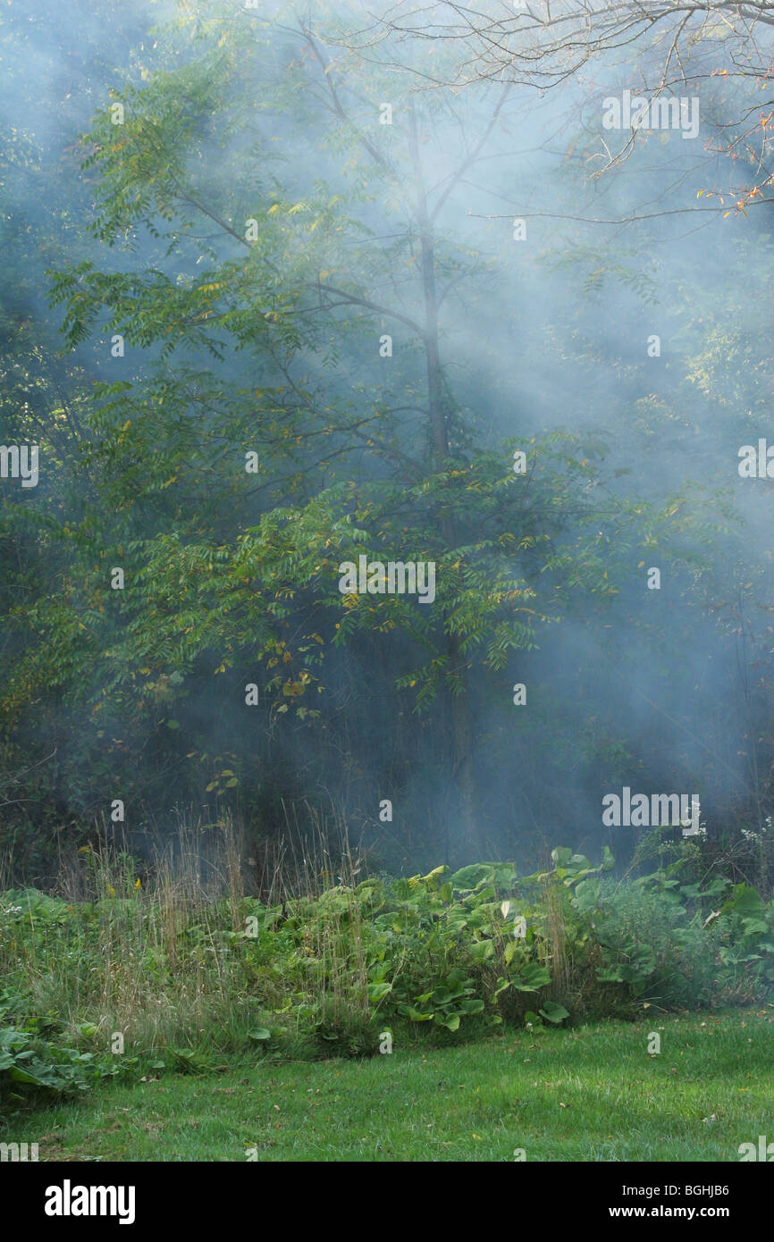 Afternoon Fog. Actually is smoke from Civil War Canon Demonstration ...