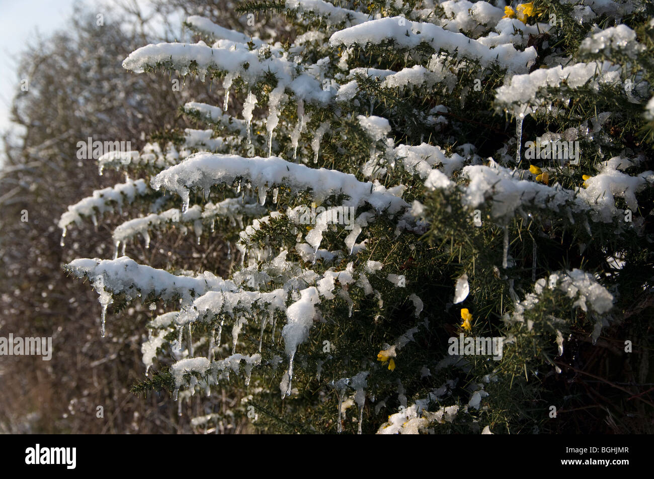 Sussex snow icicles hi-res stock photography and images - Alamy