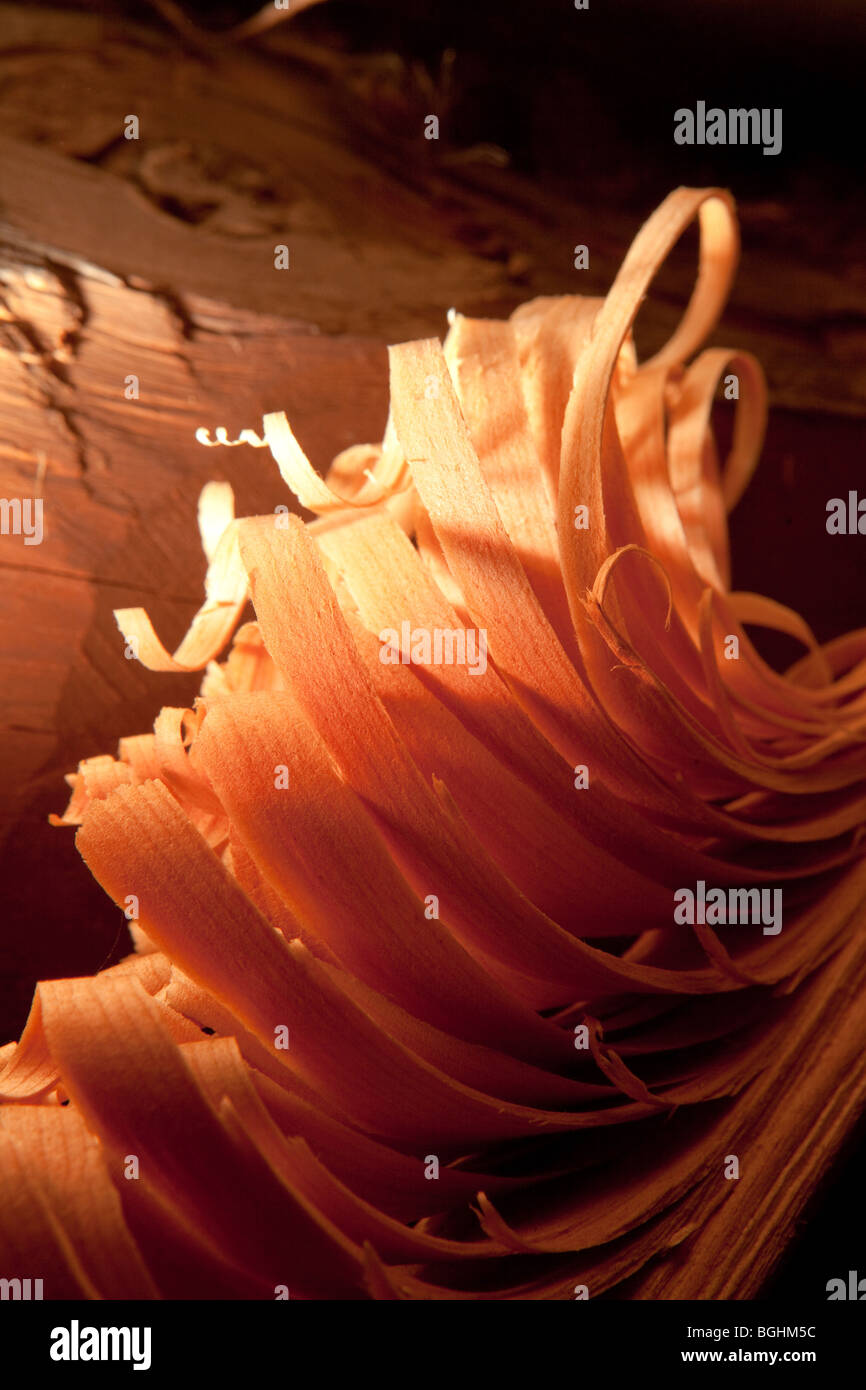 Feather stick hi-res stock photography and images - Alamy