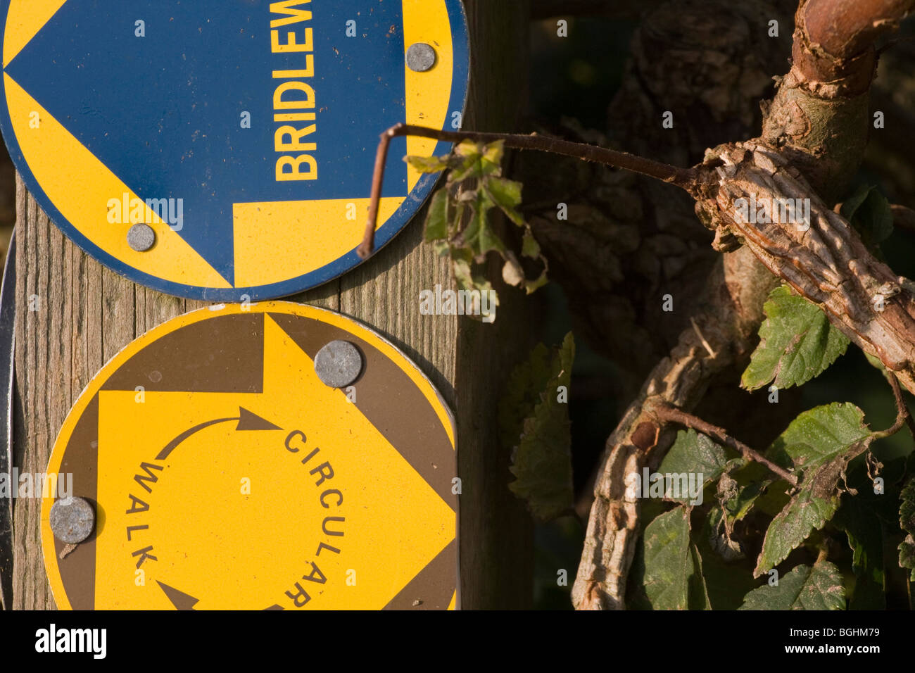 Bridleway and circular walk way markers in yellow, brown and blue Stock ...