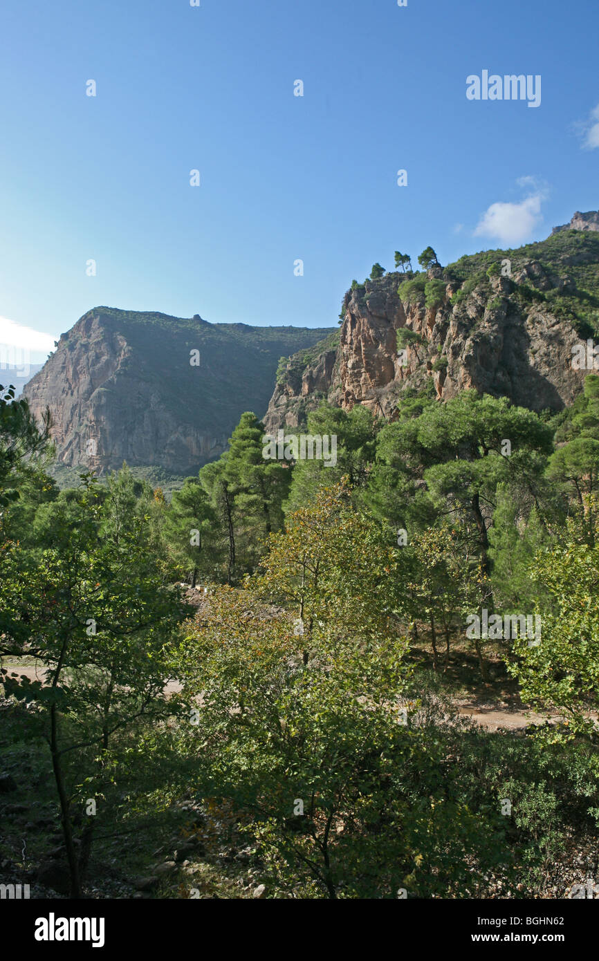 Vouraikos gorge as viewed from the Kalavryta to Diakofto railway ...