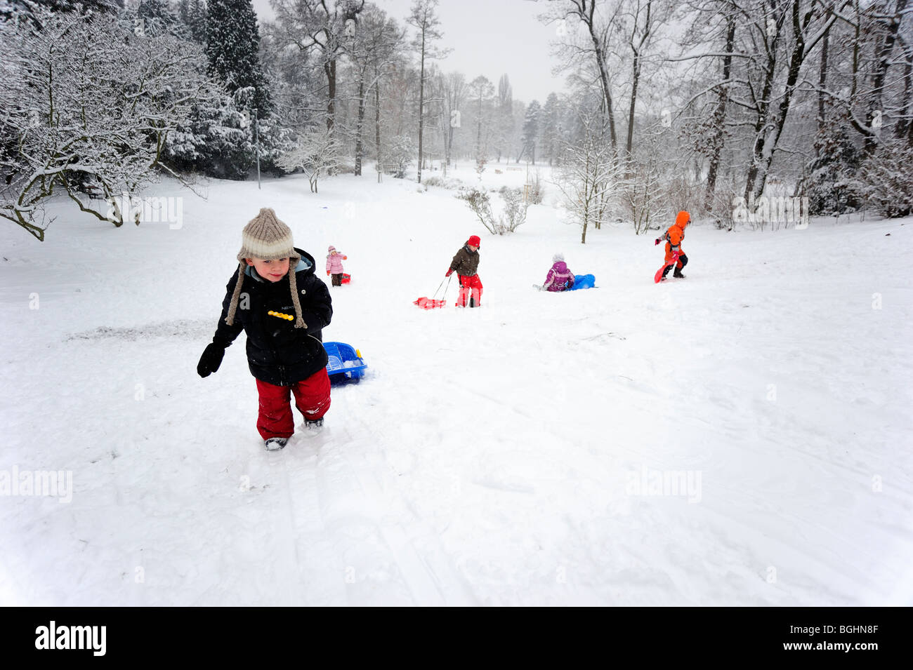 child boy winter snow sledding in park Stock Photo - Alamy