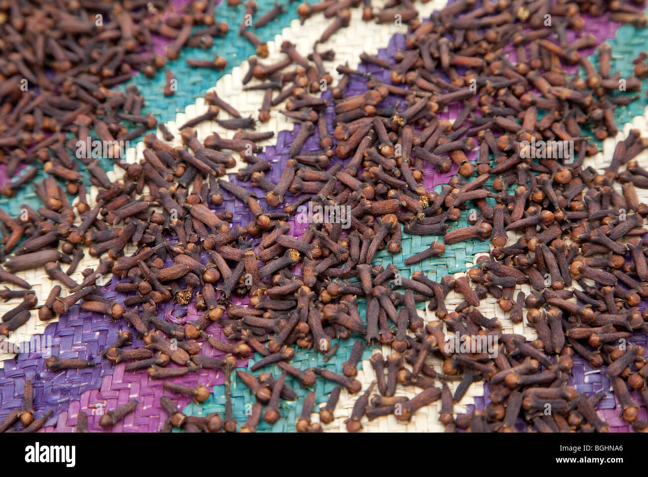 Drying cloves sun hi-res stock photography and images - Alamy