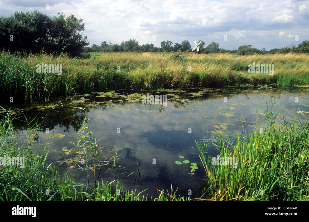 Cambridgeshire landscape hi-res stock photography and images - Alamy