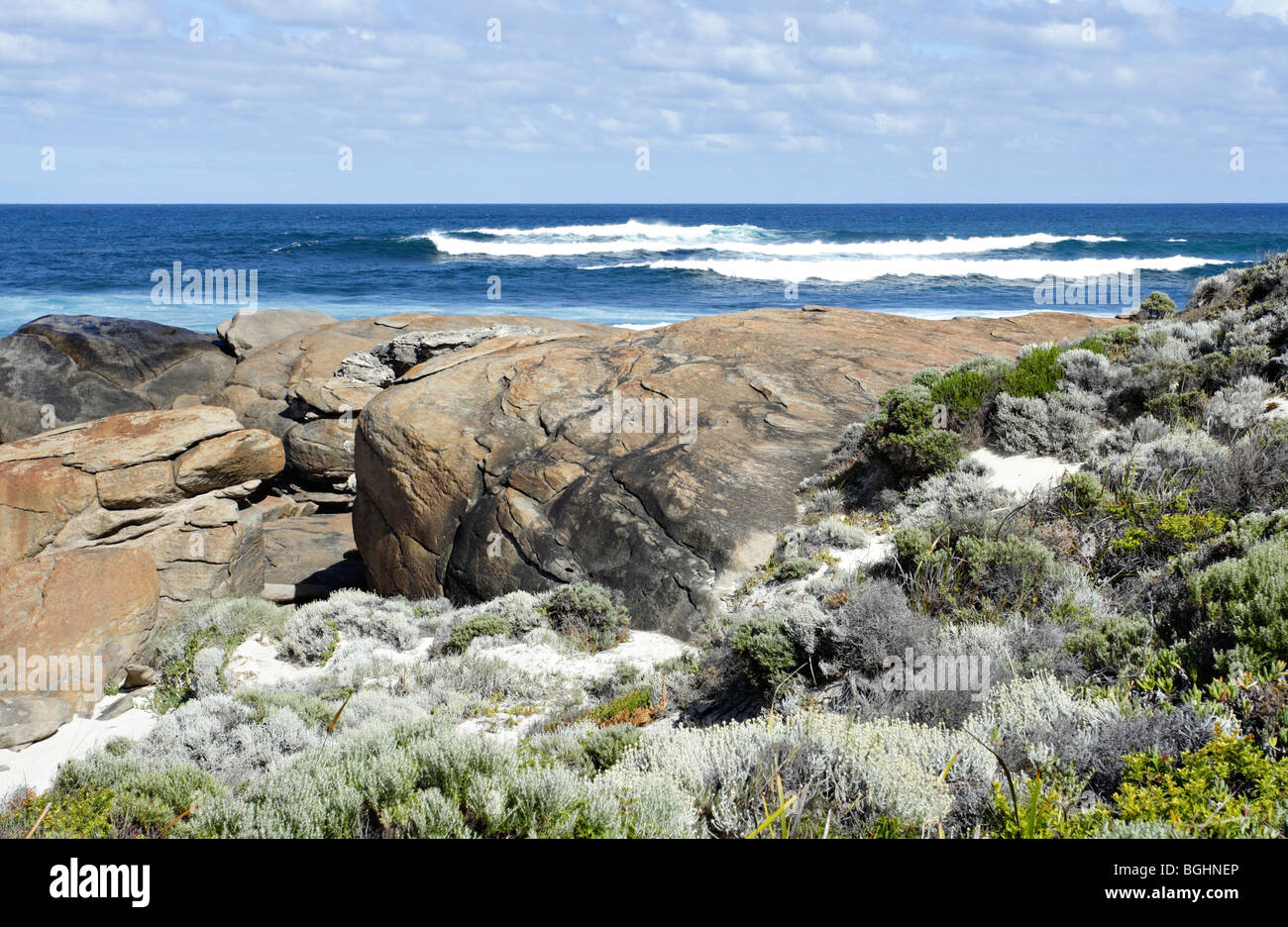 Small plants and rocks dotting Redgate beach near Margaret River in ...
