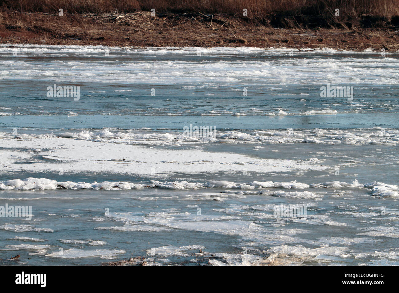 A winter freezing river scene. The water of the river is partially ...