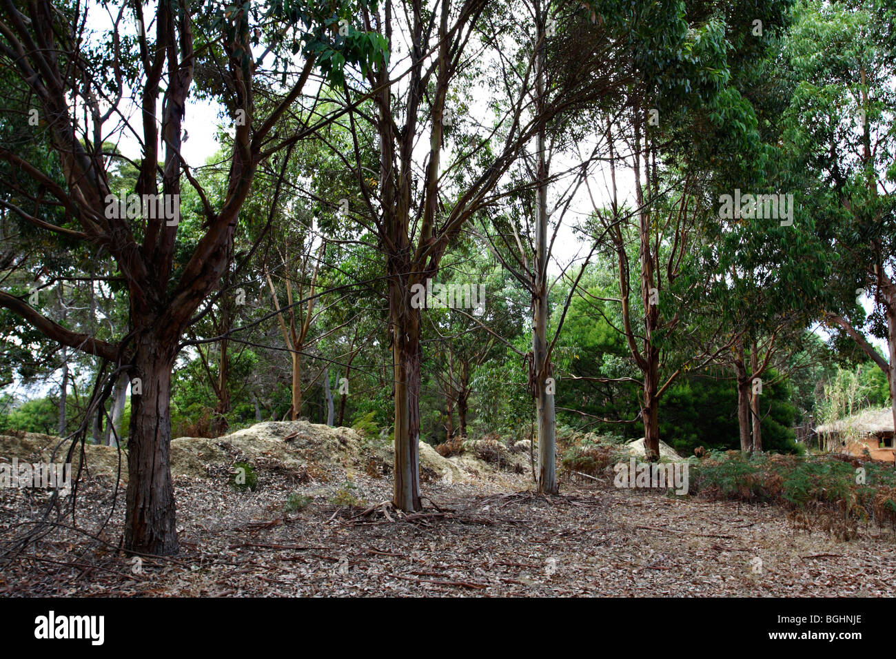 Margaret river area hi-res stock photography and images - Alamy