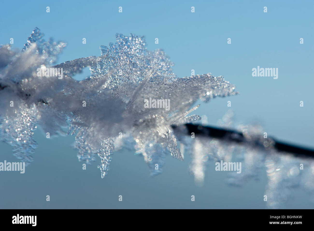 covered with snow crystal Stock Photo - Alamy