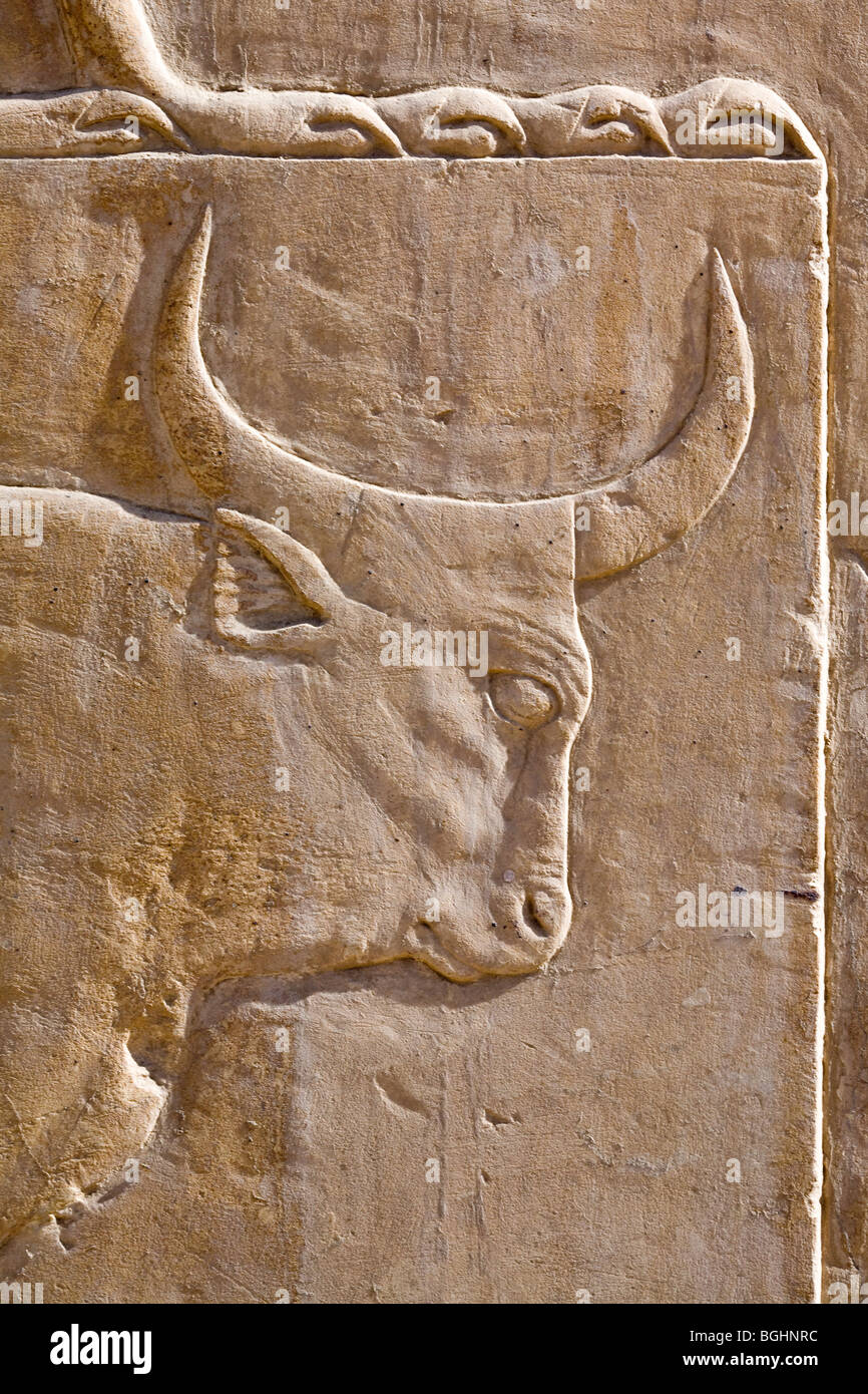 Cult bull hi-res stock photography and images - Alamy