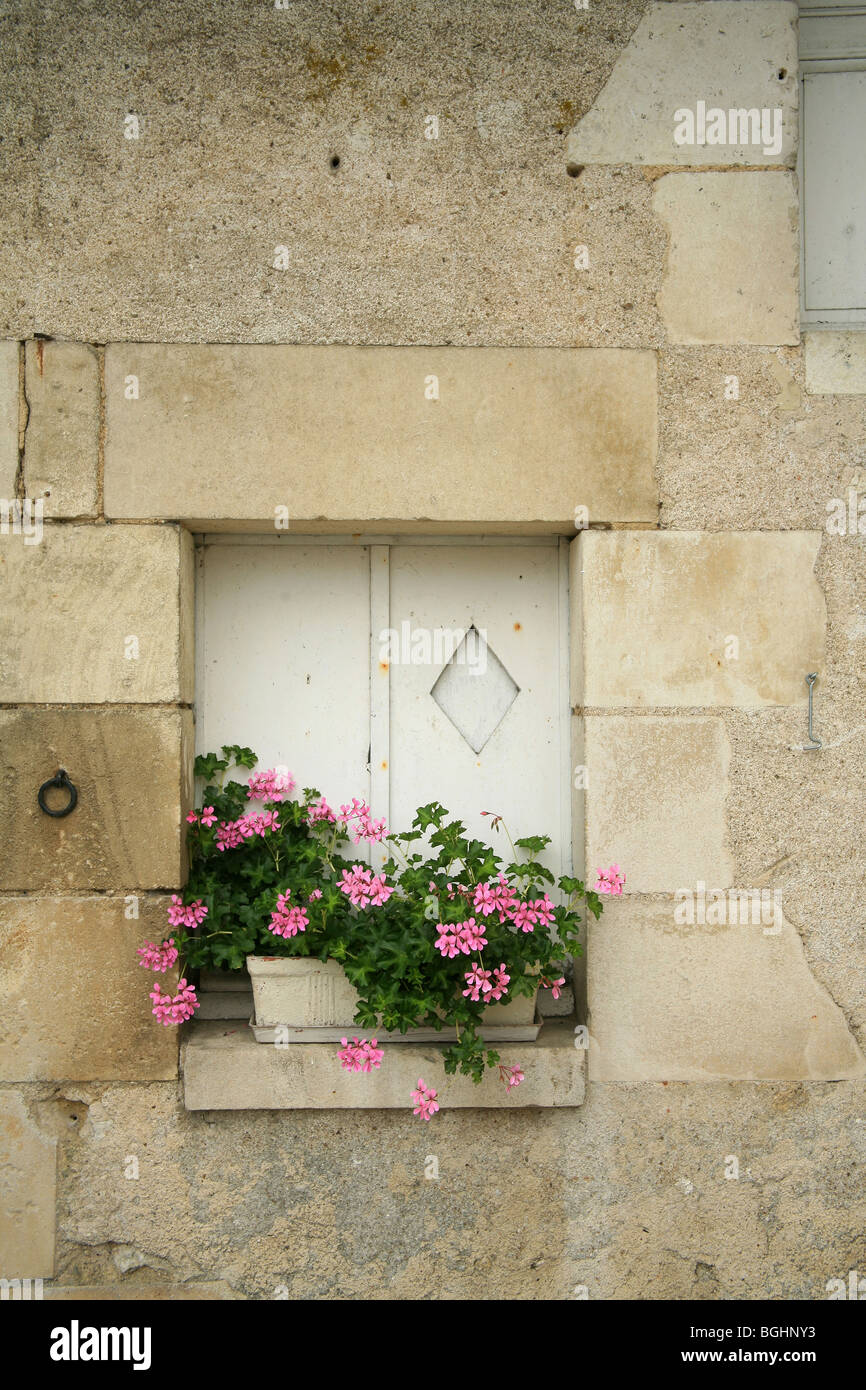 French window with typical pink flowers and green blue shutters Stock ...