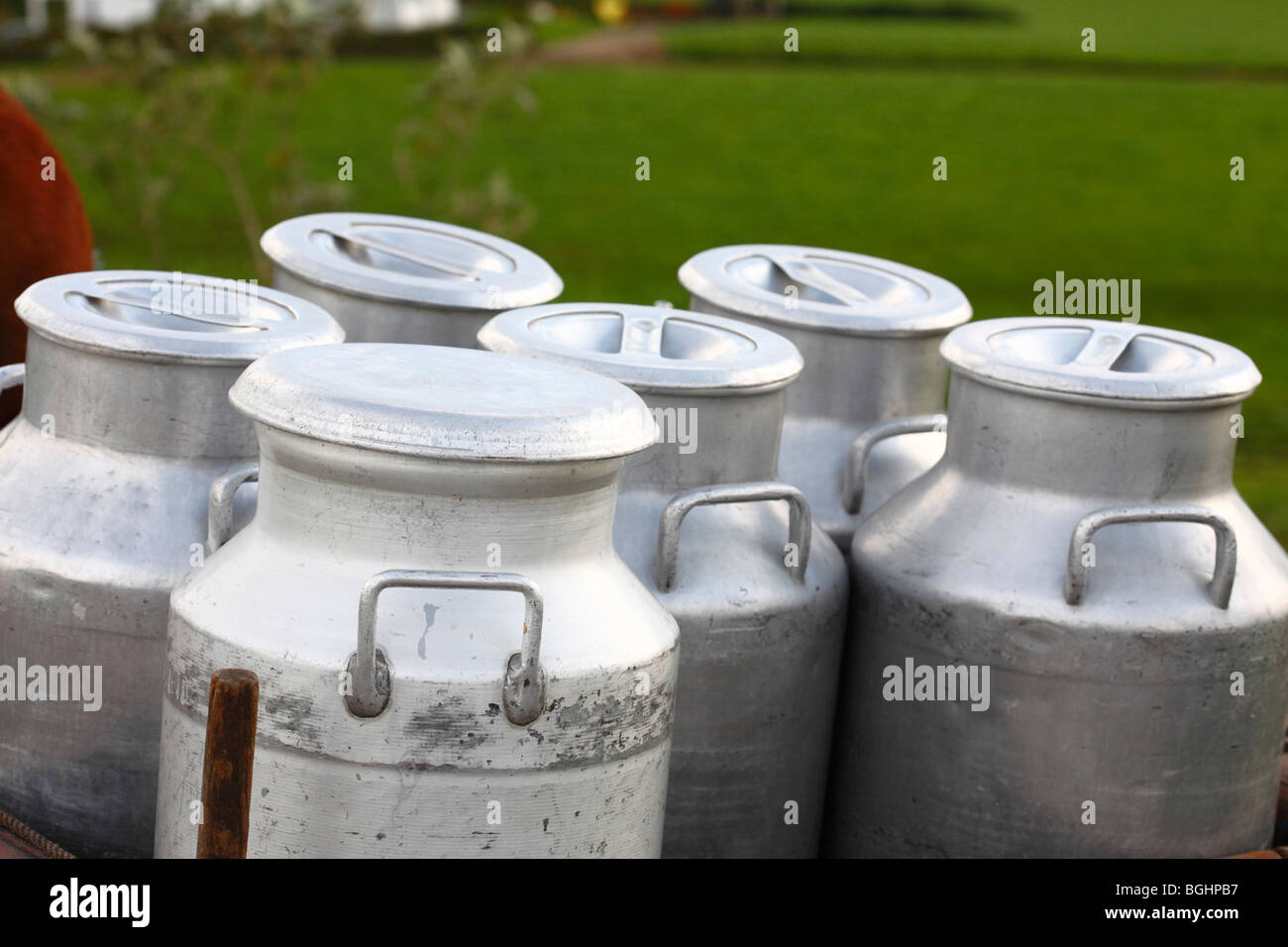Milk urns in a dairy farm. Azores islands, Portugal Stock Photo - Alamy