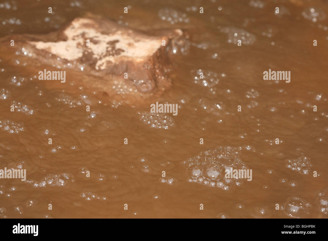 Bubbling mud pool in Caldeira Velha Park. Sao Miguel island, Azores ...