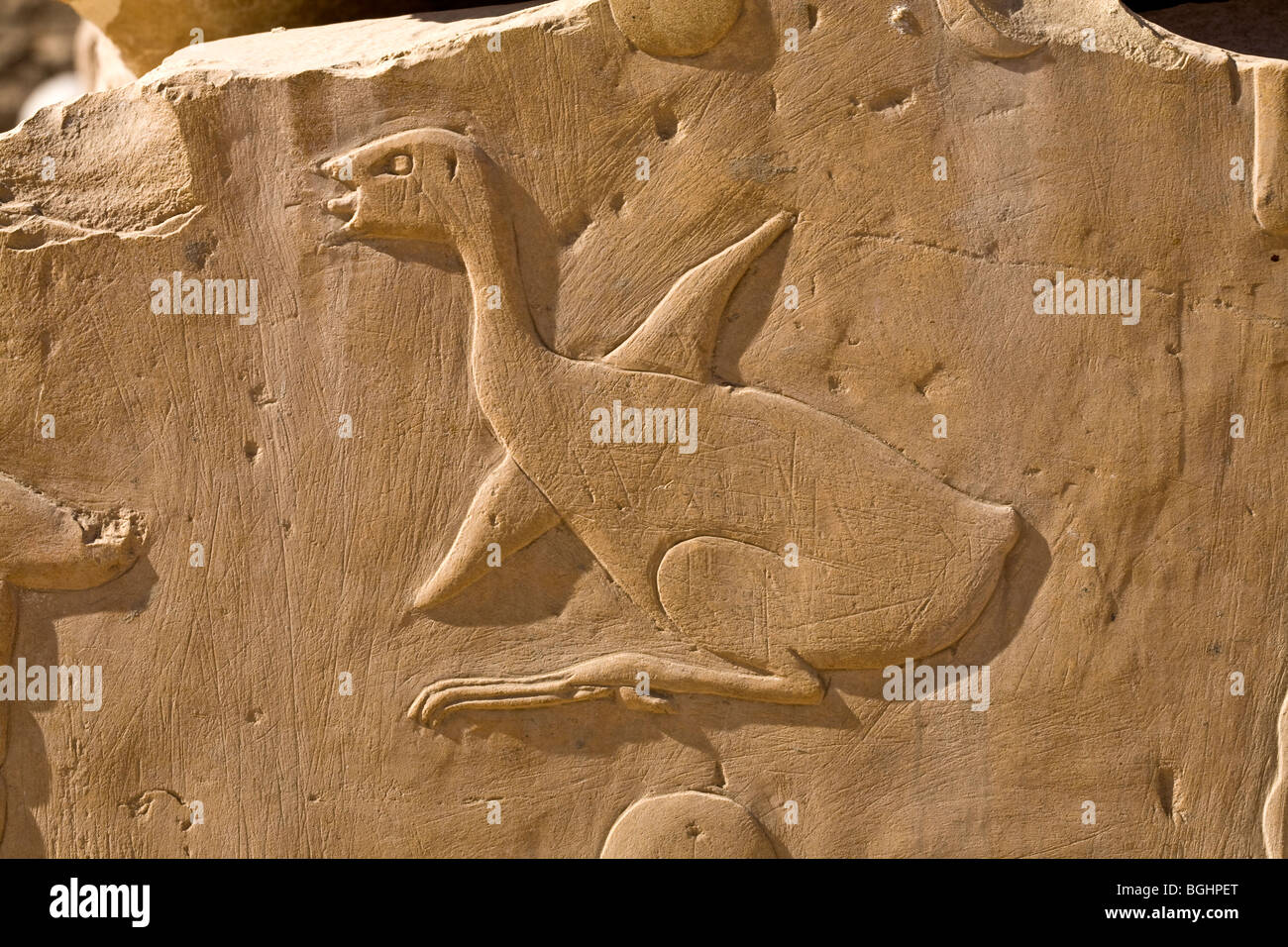 Close up of carved relief of hieroglyphs of duckling on a block in the ...