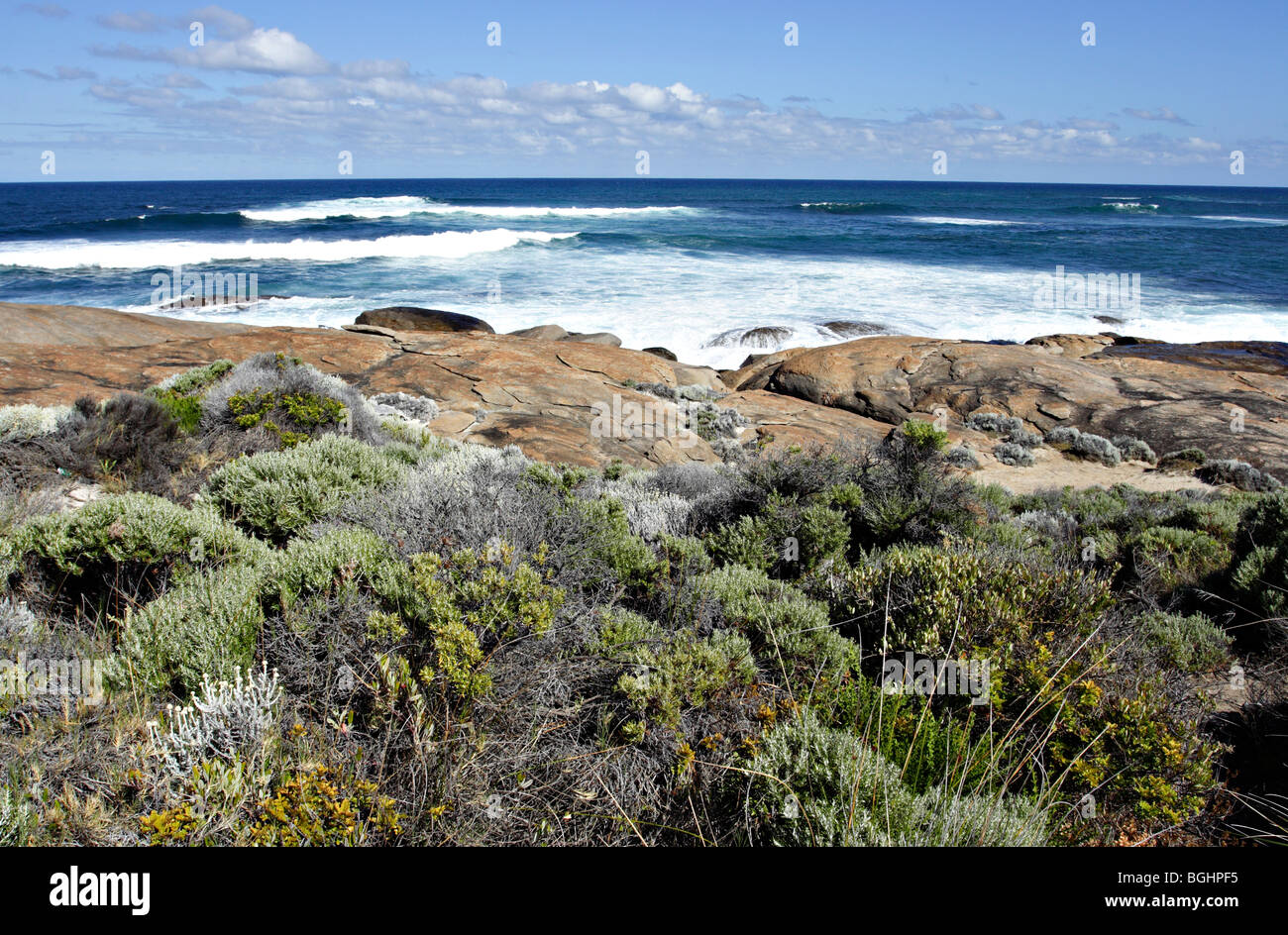 Small plants and rocks dotting Redgate beach near Margaret River in ...