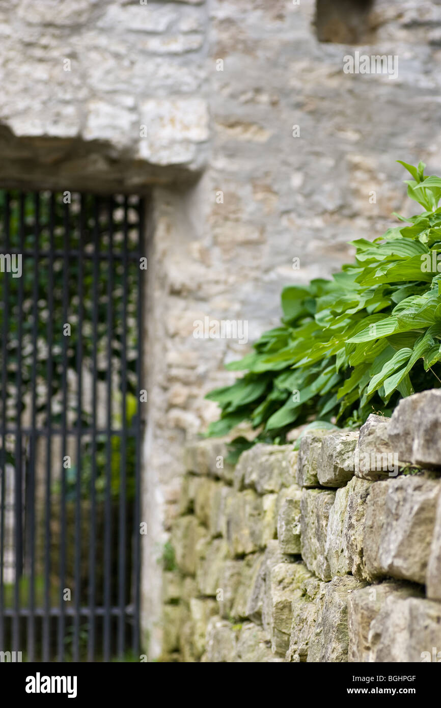 Gate with plants hi-res stock photography and images - Alamy