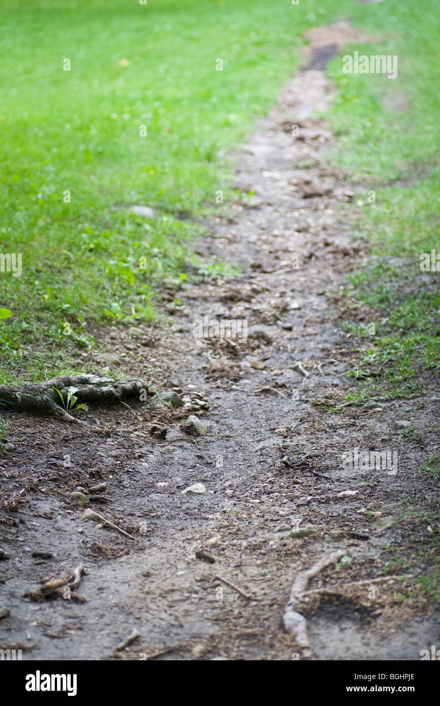 Wet grass texture photograph hi-res stock photography and images - Alamy