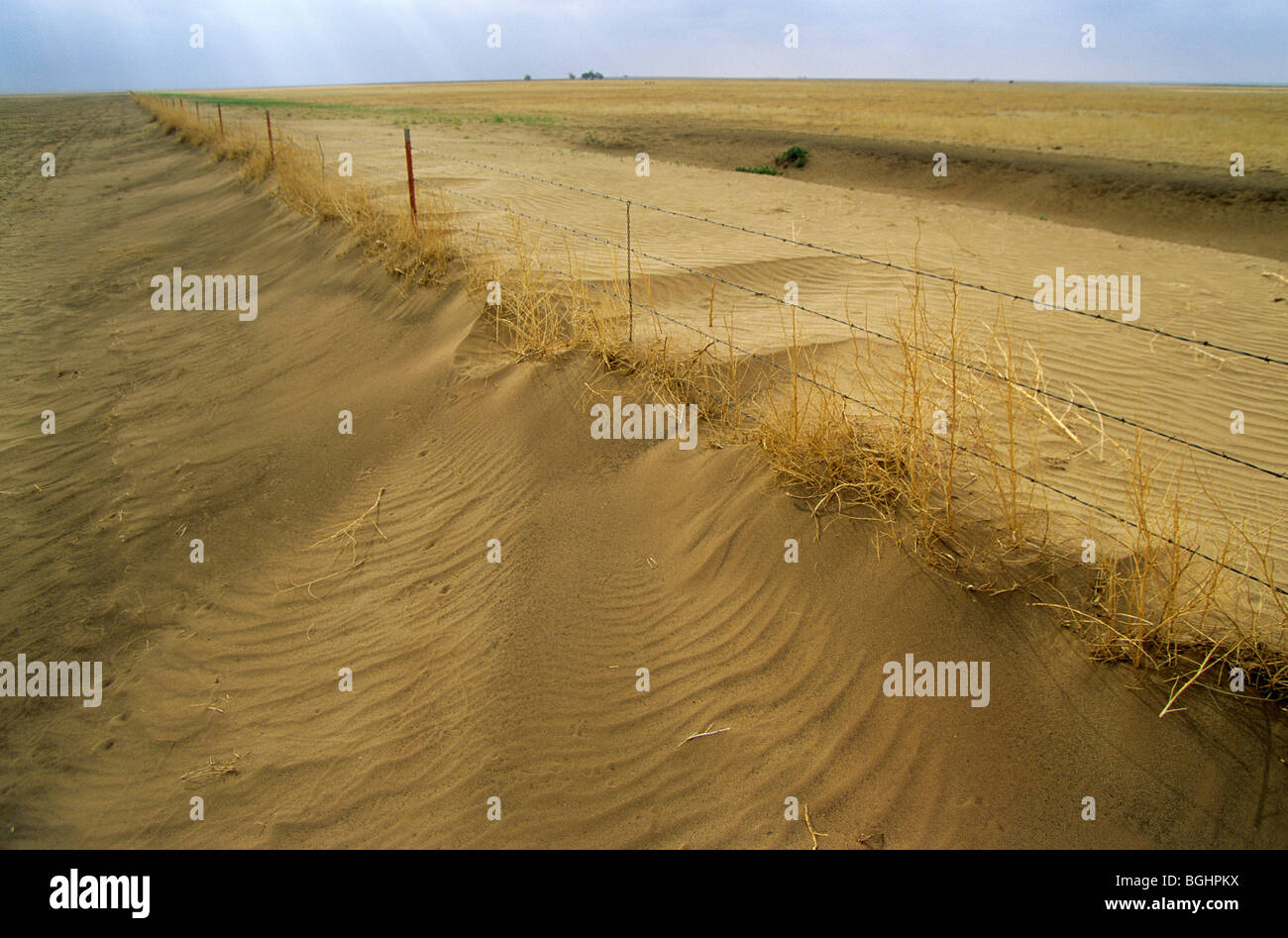 Dust drifts around fence line during Great Plains drought in Cimarron ...