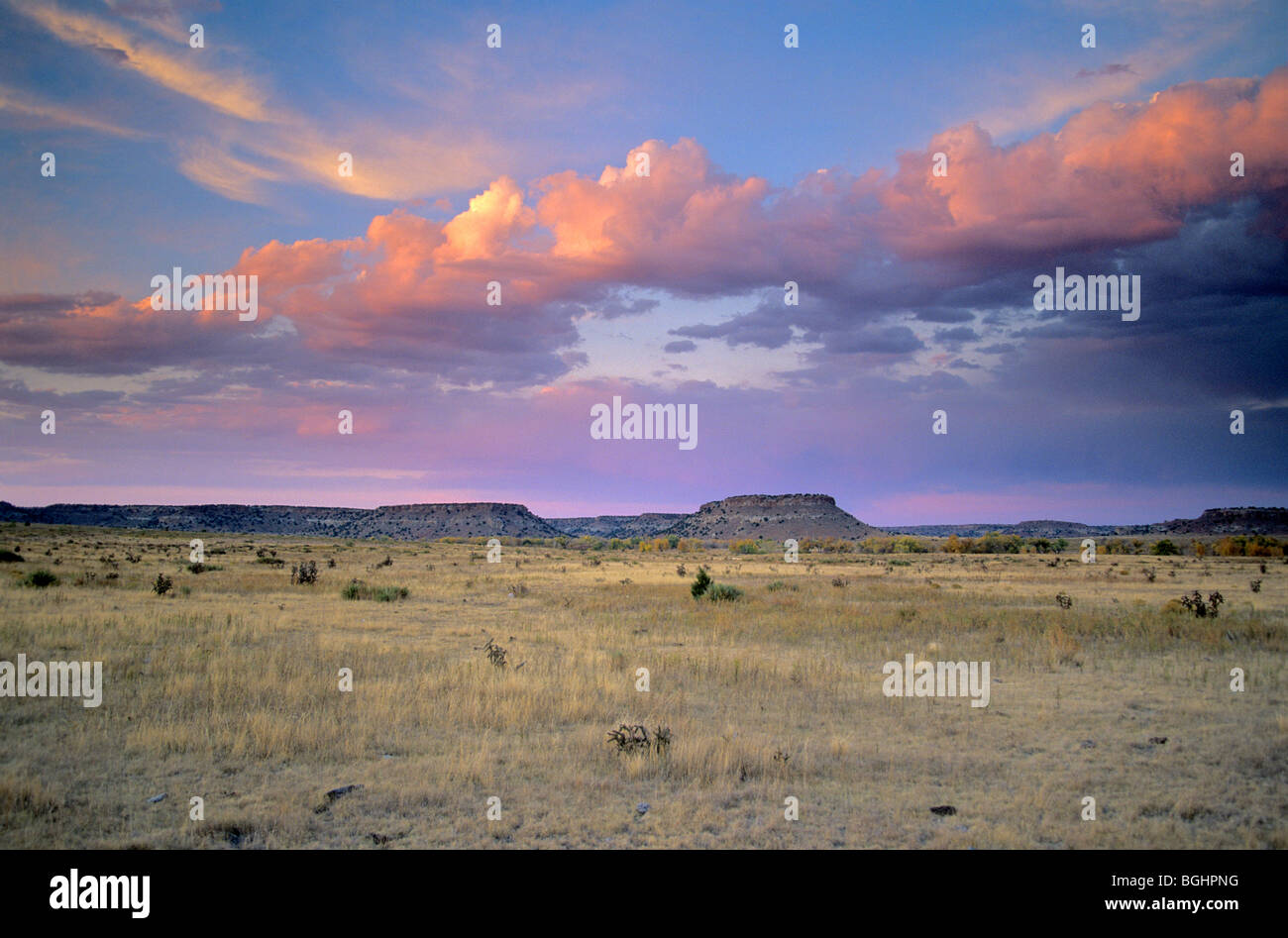 Cimarron county oklahoma hi-res stock photography and images - Alamy