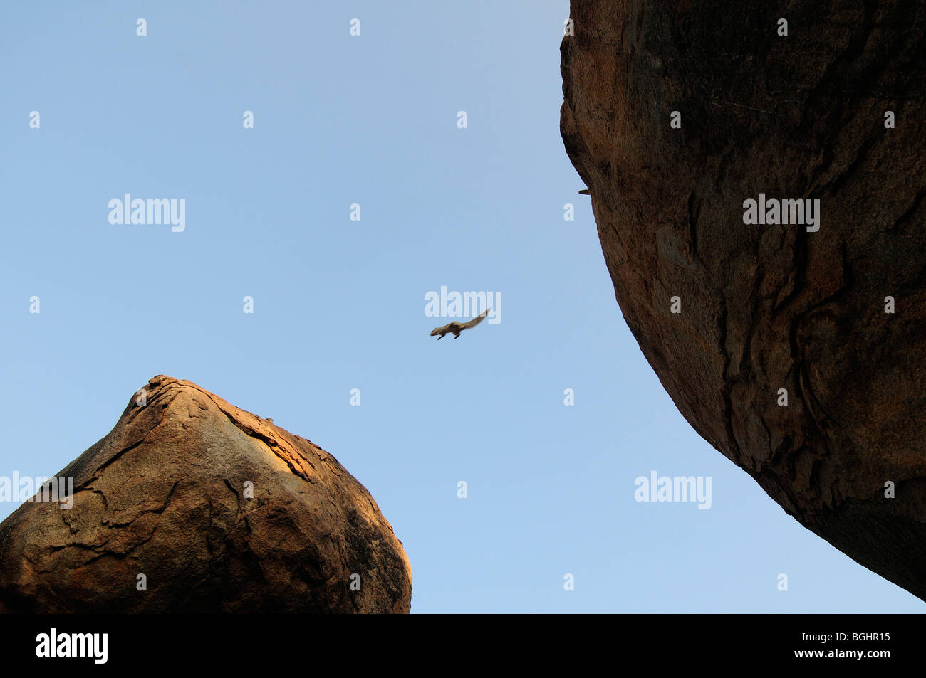 Jump nature hi-res stock photography and images - Alamy