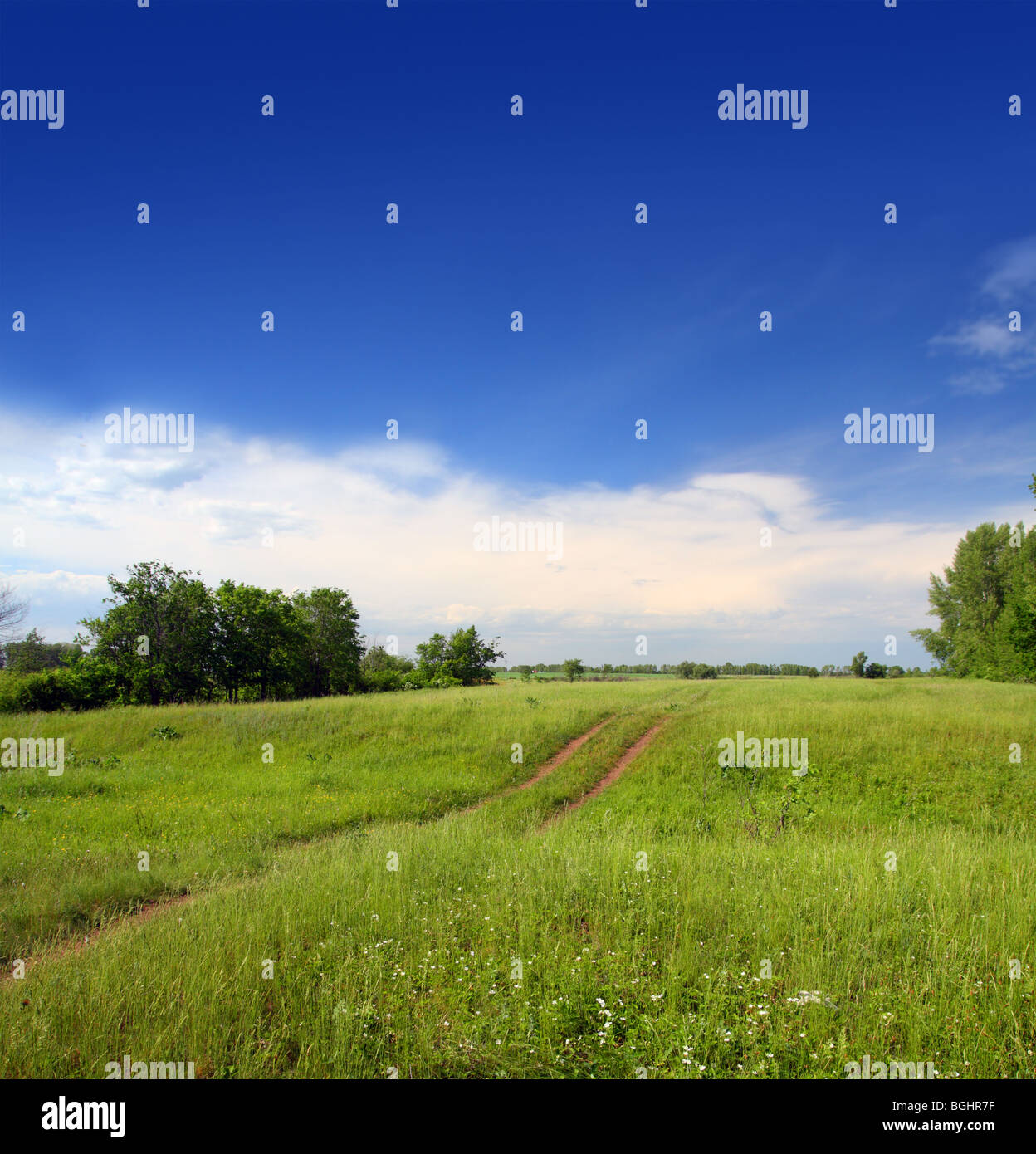 Green grass track hi-res stock photography and images - Alamy