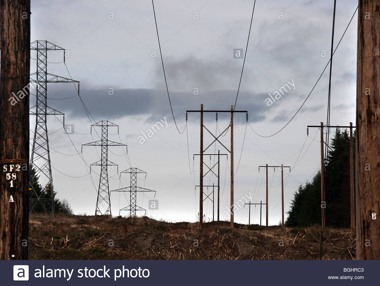 Electric Transmission Lines Wooden Poles Stock Photos & Electric ...