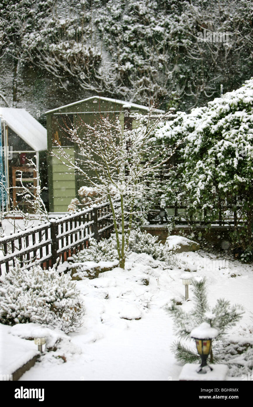 Snow covered Garden Scene in Winter Stock Photo - Alamy