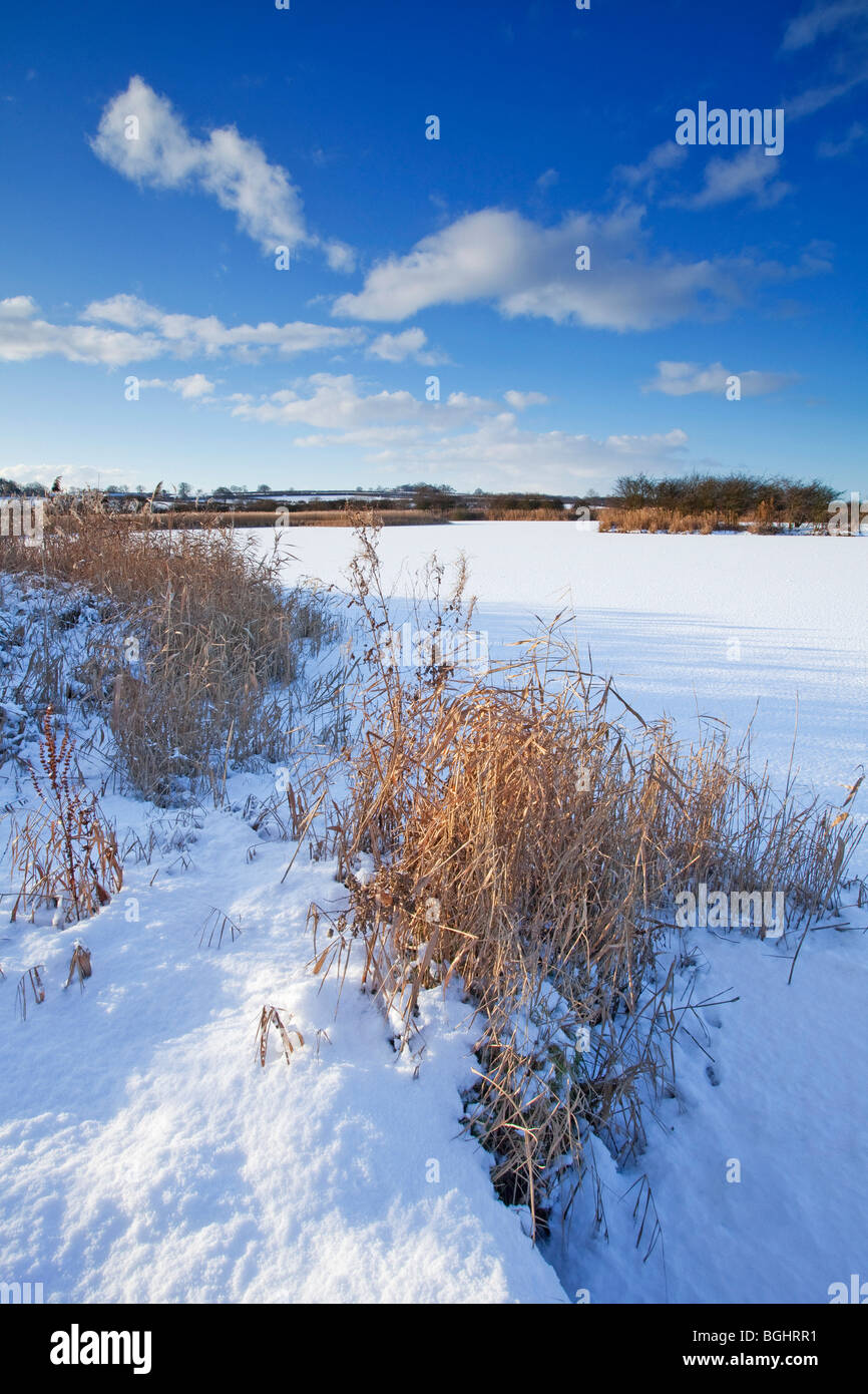 Far ings national nature reserve hi-res stock photography and images ...