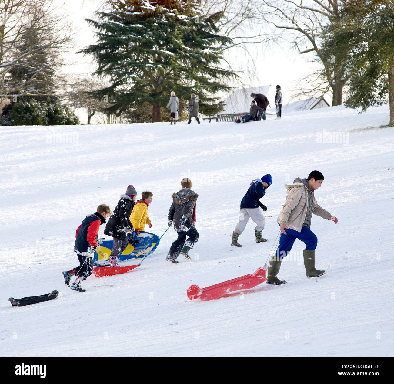 CHILDREN SLEDGING IN COLCHESTER CASTLE PARK ON ONE OF THE SLOPES ...