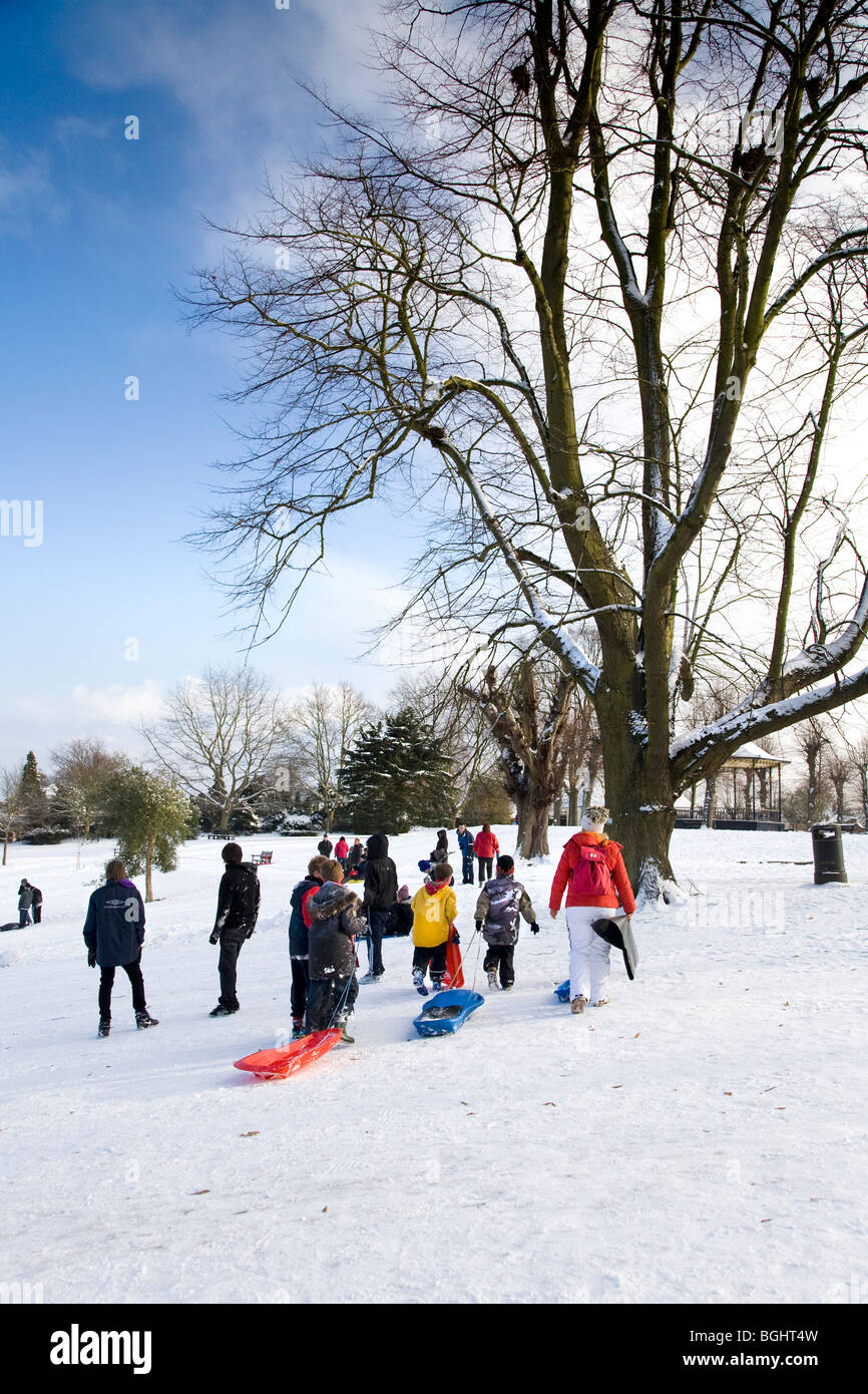CHILDREN SLEDGING IN COLCHESTER CASTLE PARK ON ONE OF THE SLOPES ...