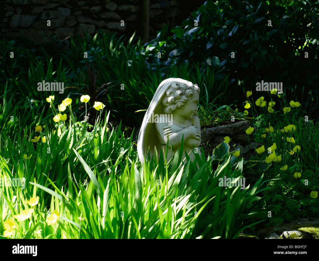 Sunlit garden hi-res stock photography and images - Alamy