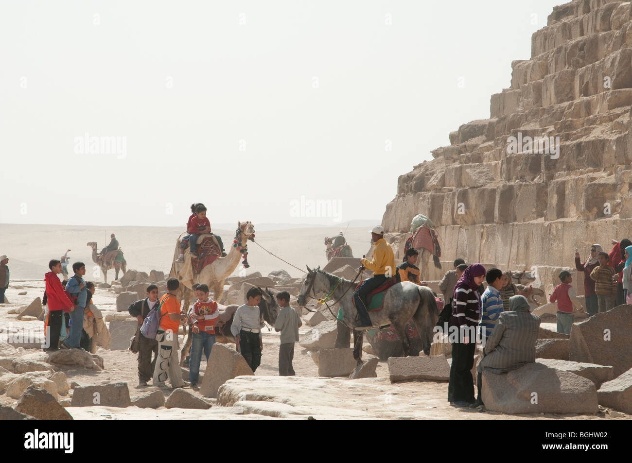 Pyramids of Giza, Cairo, Egypt, Africa Stock Photo - Alamy