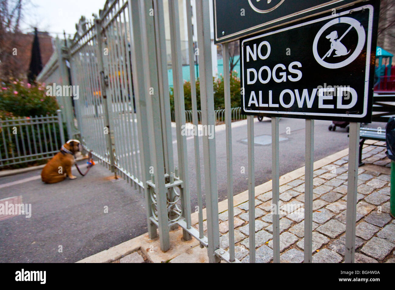 Walk in greenwich village hi-res stock photography and images - Alamy