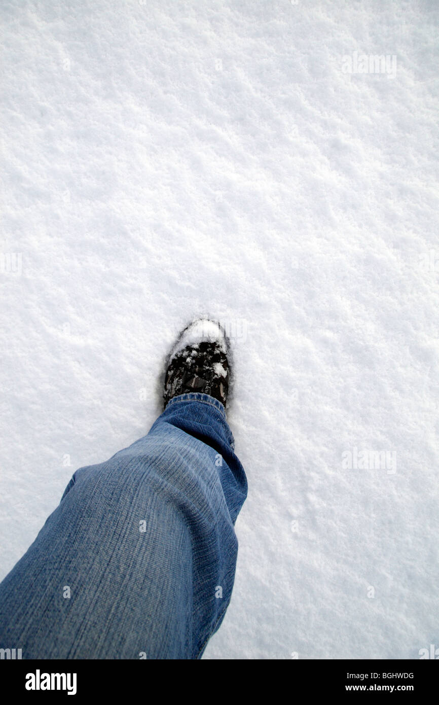 The left leg of a man walking in freshly fallen snow. UK 2010 Stock ...