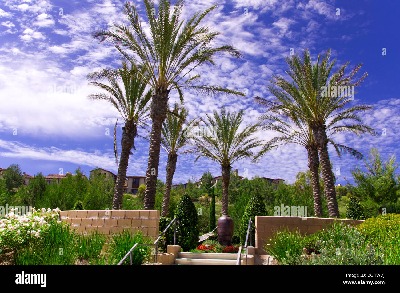 Park in California, USA Stock Photo - Alamy