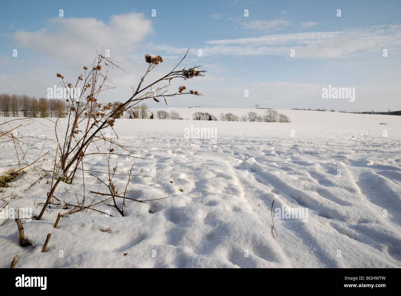 Countryside covered in snow hi-res stock photography and images - Alamy