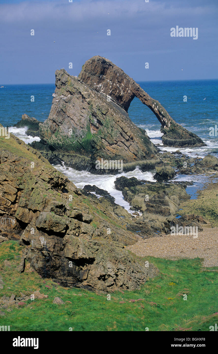 Bow Fiddle Rock, a sea stack and arch of quartzite rock on the North ...