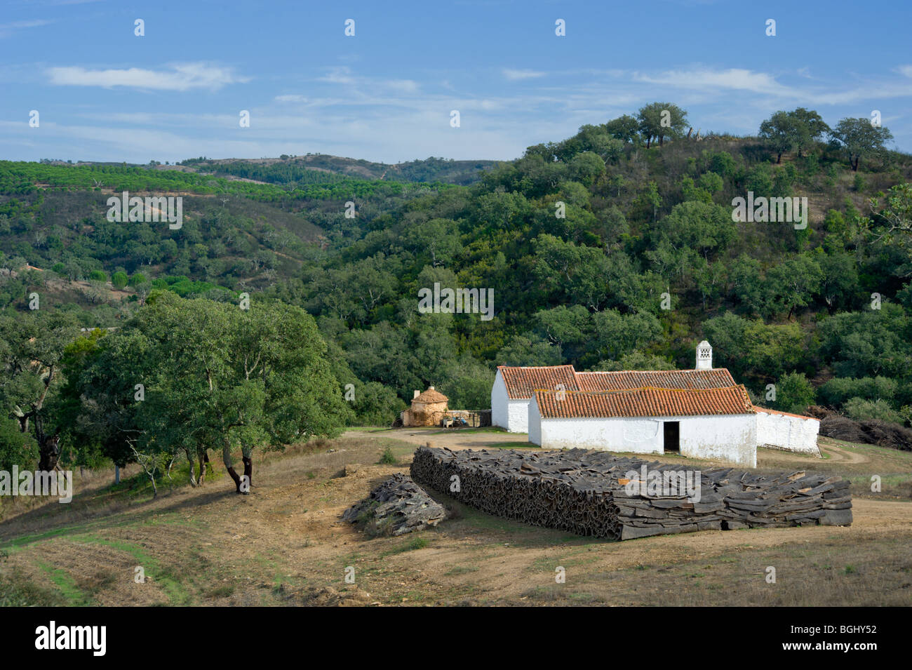 Portugal, the Alentejo, a farm house among cork trees Stock Photo - Alamy