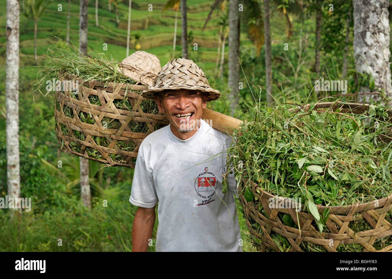 A happy Balinese rice field worker Stock Photo - Alamy