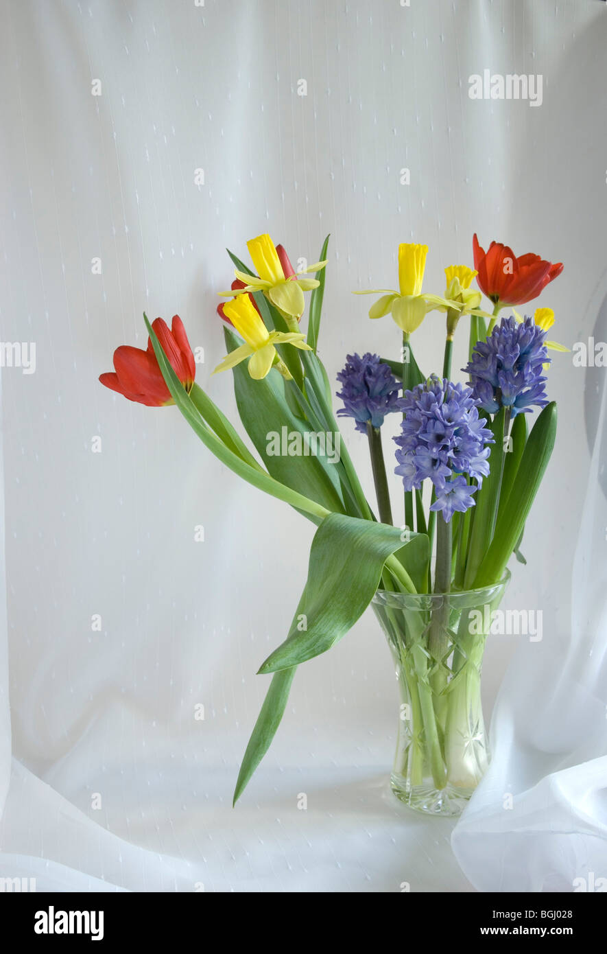 Spring flower arrangement tulips daffodils hi-res stock photography and ...