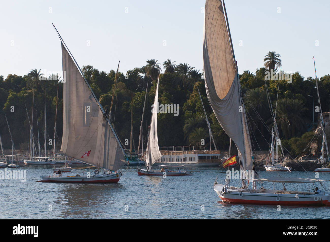 Felucca boats on the Nile in Aswan, Egypt, Africa Stock Photo - Alamy