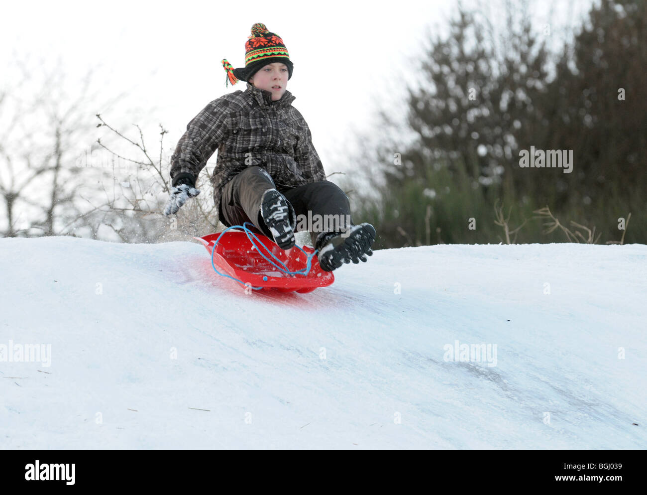 Young boys and girls sledging in Scotland Stock Photo - Alamy