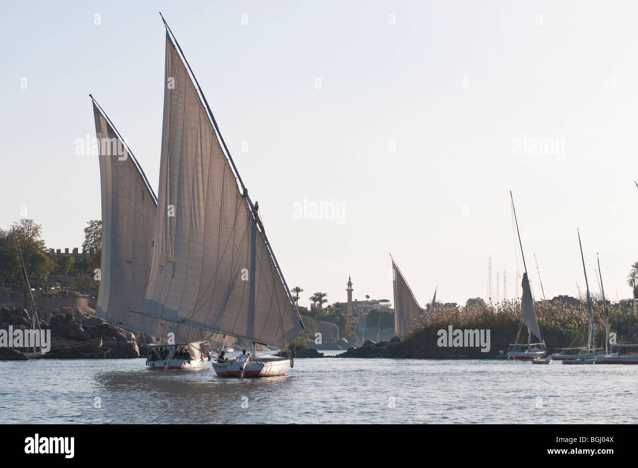 Felucca boats on the Nile in Aswan, Egypt, Africa Stock Photo - Alamy