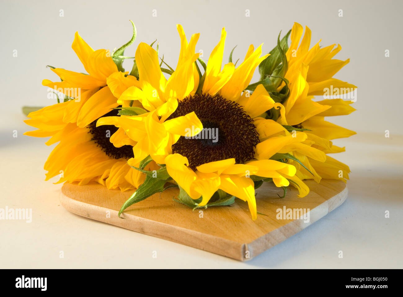 Romantic sunflower arrangement Stock Photo - Alamy