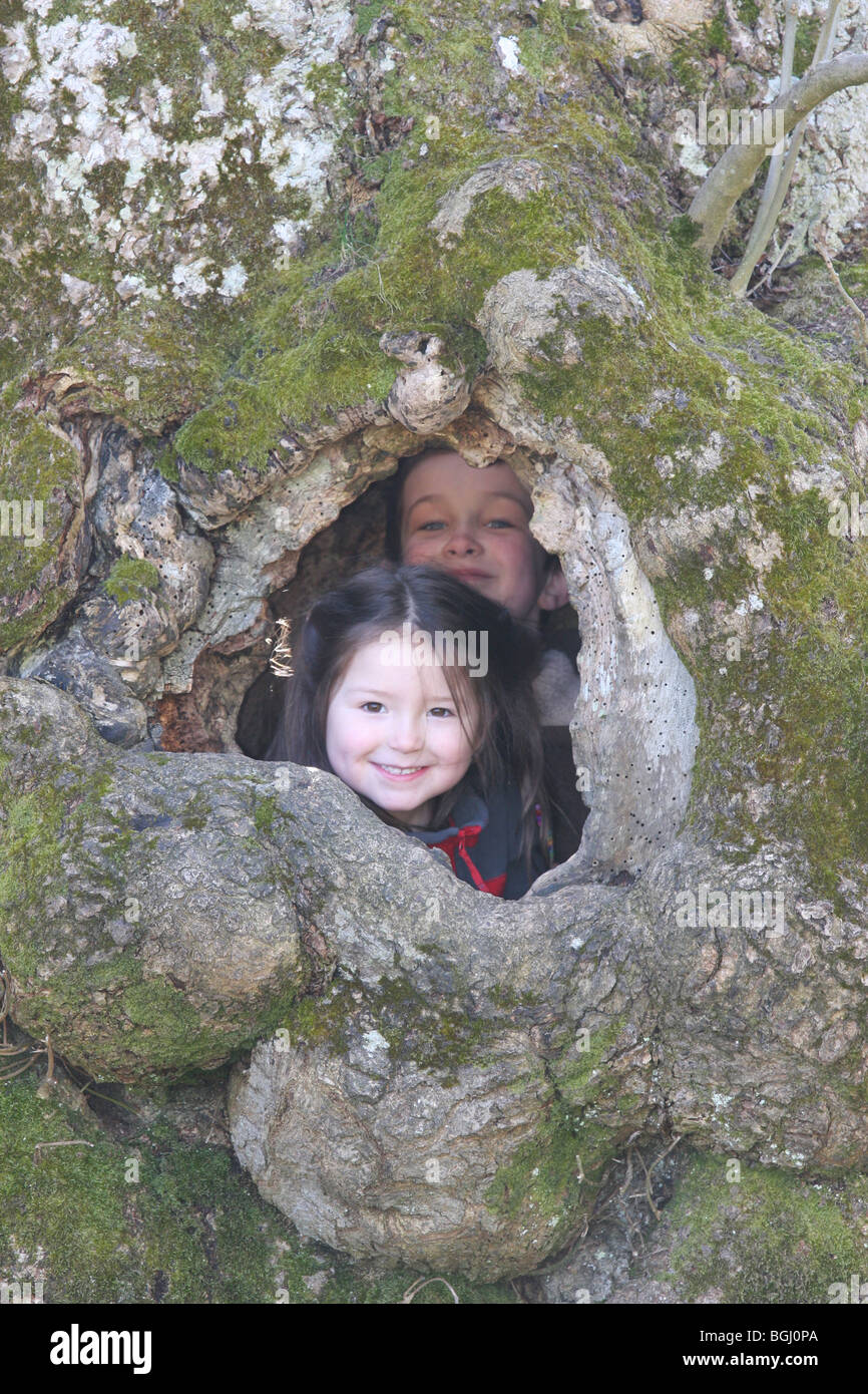 Children in a tree hole, North Yorkshire Moors, England Stock Photo - Alamy